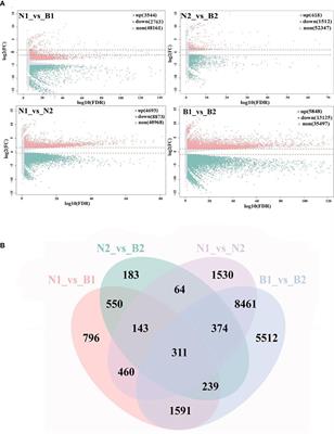 Frontiers | Transcriptomics–metabolomics joint analysis: New highlight ...