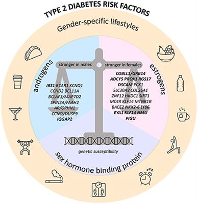 Type 2 Diabetes Risk Factors