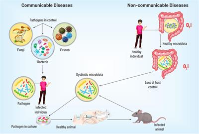 Communicable Diseases Chart