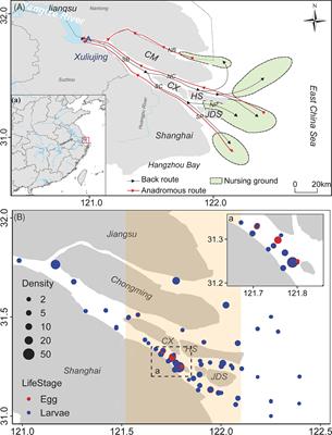 Frontiers | Delineation of estuarine ecological corridors using the ...