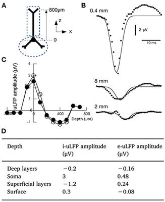 Frontiers | Mean-field based framework for forward modeling of LFP and ...