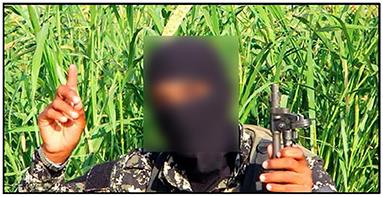 Frontiers | Revisiting representative form in ISIS media: How emerging ...