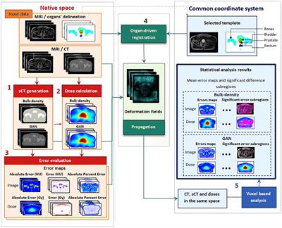 Frontiers | Quality assurance for MRI-only radiation therapy: A voxel ...