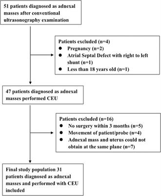 Frontiers | Contrast-enhanced ultrasonography for differential ...