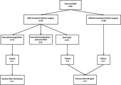 Frontiers | Evaluation of segmental scleral buckling surgery for stage ...