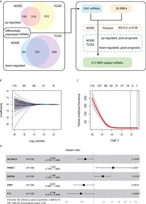 Frontiers | Construction and validation of a prognostic model with RNA ...