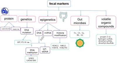 Frontiers | Fecal biomarkers: Non-invasive diagnosis of colorectal cancer