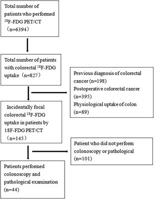 Frontiers | Combined SUVmax and localized colonic wall thickening ...