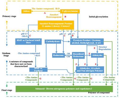 Frontiers | Insights into flavor and key influencing factors of ...