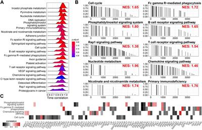 Frontiers | Unbiased comparison and modularization identify time ...