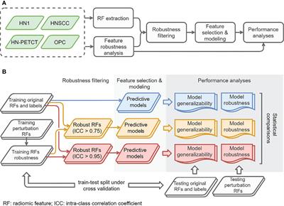 Frontiers | Improving radiomic model reliability using robust features ...