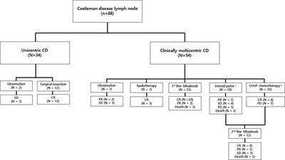 Frontiers | Long-term treatment outcome of Castleman’s disease: A real ...
