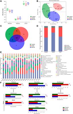 Frontiers | Dendrobium candidum polysaccharide reduce atopic dermatitis ...
