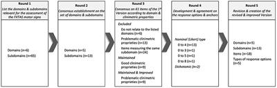 Frontiers | Fragile X-associated tremor ataxia syndrome rating scale ...