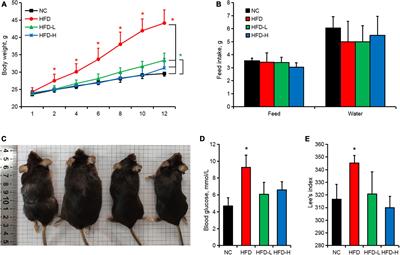 Frontiers | Mulberry leaf polyphenols alleviated high-fat diet-induced ...