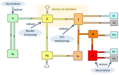Frontiers | Optimizing national border reopening policies in the COVID ...