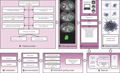 Frontiers | An exploratory study of CT radiomics using differential ...