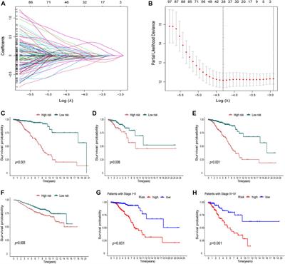 Frontiers | Identification of differentially expressed genes at the ...
