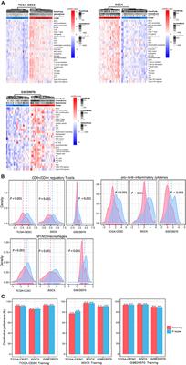 Frontiers | Molecular classification of human papillomavirus-positive ...