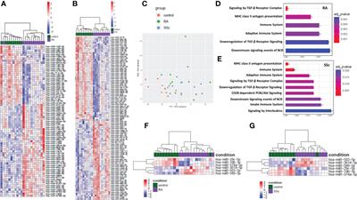 Frontiers | Circulating miRNA-19b as a biomarker of disease progression ...