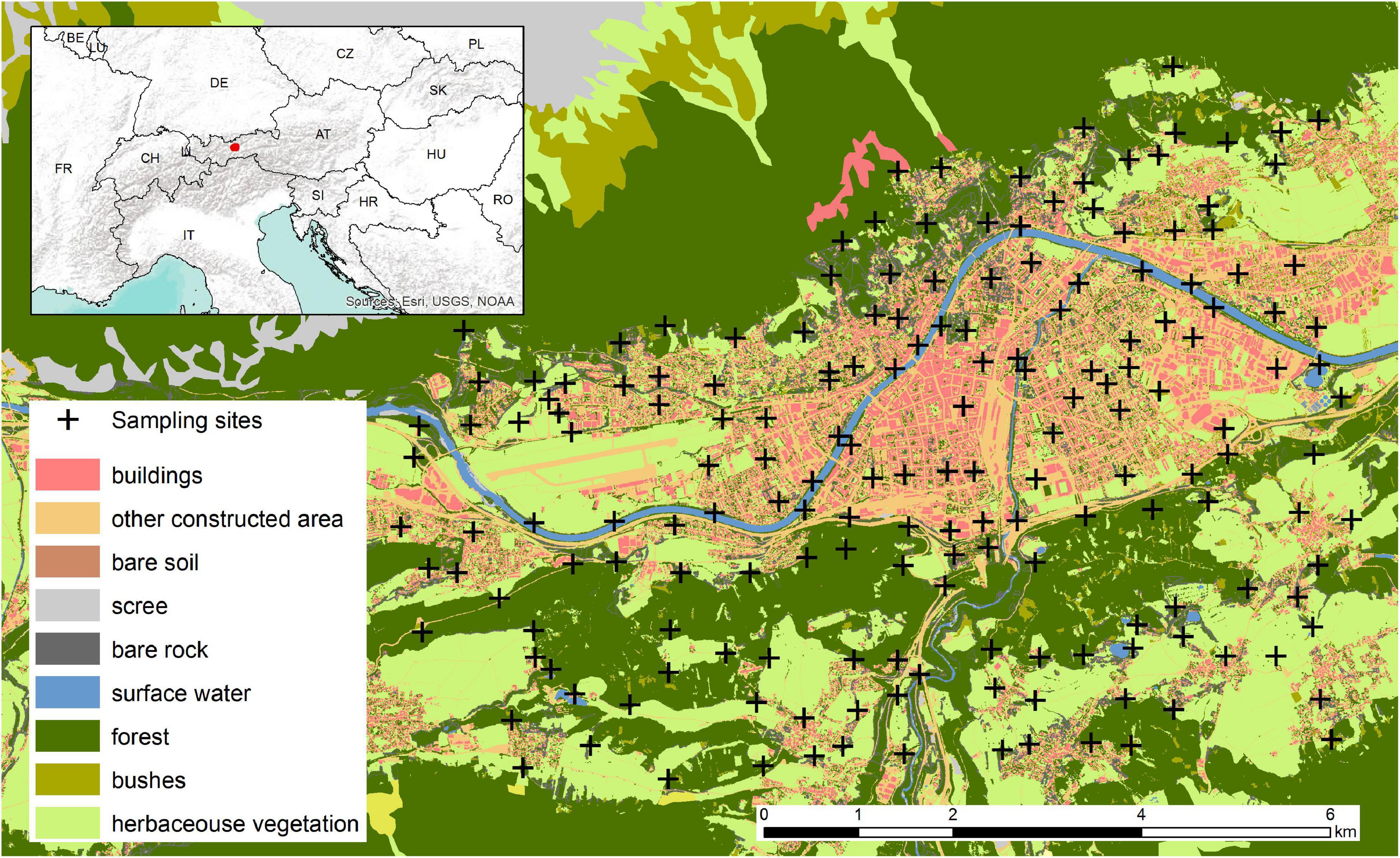 Frontiers | Urban-driven decrease in arthropod richness and diversity ...