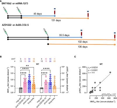 Frontiers | Comparative analysis of the neutralizing activity against ...