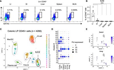 Frontiers | Enrichment of type I interferon signaling in colonic group ...