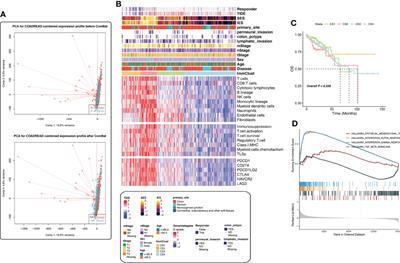 Frontiers | Identification and validation of immunotherapy for four ...