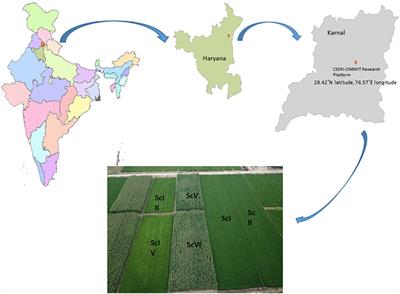 Frontiers | Climate-smart agricultural practices influence the fungal ...