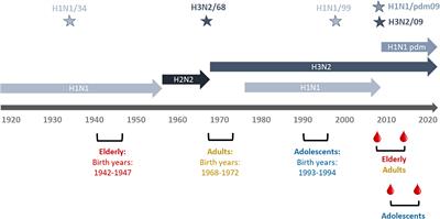 Frontiers | The evolution of humoral immune responses to past and novel ...