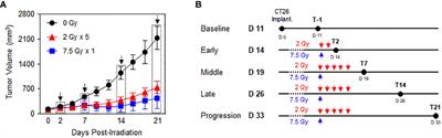 Frontiers | Dynamic alterations in PD-1/PD-L1 expression level and ...