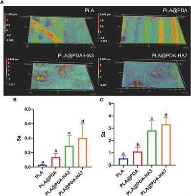 Frontiers | Biomimetic, mussel-inspired surface modification of 3D ...