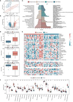 Frontiers | Integrating transcriptomics and network analysis-based ...