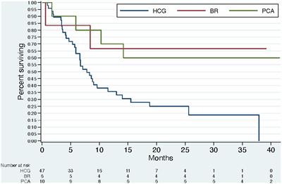 Frontiers | The feasibility of triggers for the integration of ...