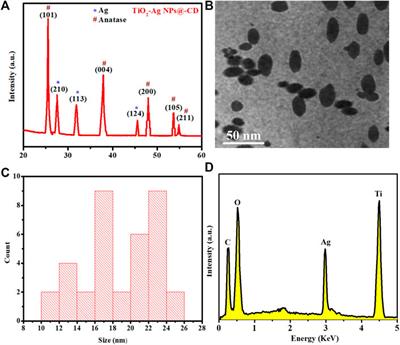 Frontiers | UV-irradiating synthesis of cyclodextrin–silver nanocluster ...