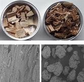 Biomass Steam Explosion Pretreatment for Bioproducts | Frontiers ...