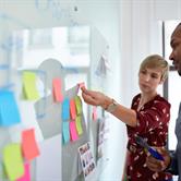 Exploring Goal-Directed Behavior Through Creativity: Perspectives from ...