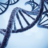 Premature Aging Syndromes: From Molecular Mechanisms to Intervention ...