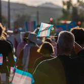 Data to Action – Advancing Research on Violence Against Trans Women ...