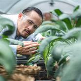 Microbe-Induced Regulation of Plant Immunity Against Phytopathogens ...