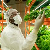 The Role of Microbes in Agri-Food Production for Health and ...