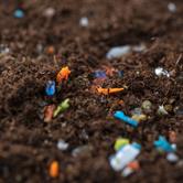 Impact of Microplastics on Soil Health and Plant Physiology in ...