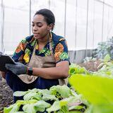 Future Paths for Local and Alternative Food Systems | Frontiers ...