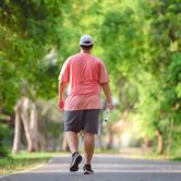 Physical Activity Behavior, Obesity, and Stress as Crucial Sources of ...