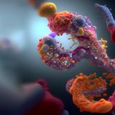 Environmental Triggers and Epigenetics, involved in Autoimmune and ...