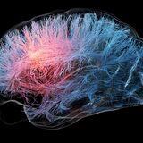 Unraveling Molecular Mechanisms of Neurodegenerative Disease ...