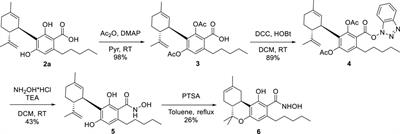 Frontiers | Synthesis and biological evaluation of hydroxamate ...