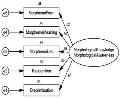 Frontiers | Examining the dimensionality of morphological knowledge and ...