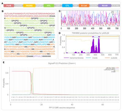 Frontiers | A comprehensive approach to developing a multi-epitope ...