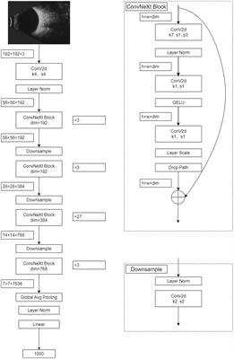 Frontiers | Application and visualization study of an intelligence ...